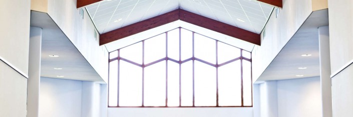 Welcome to the International School of Amsterdam