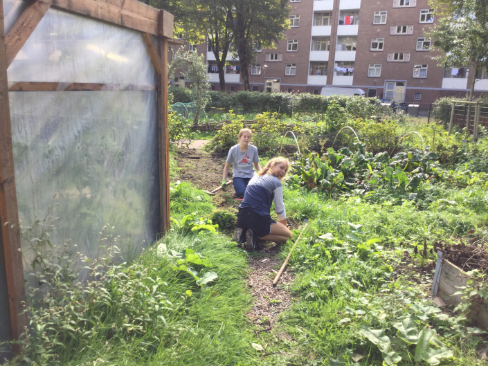 International School of Amsterdam – Educating for International ...